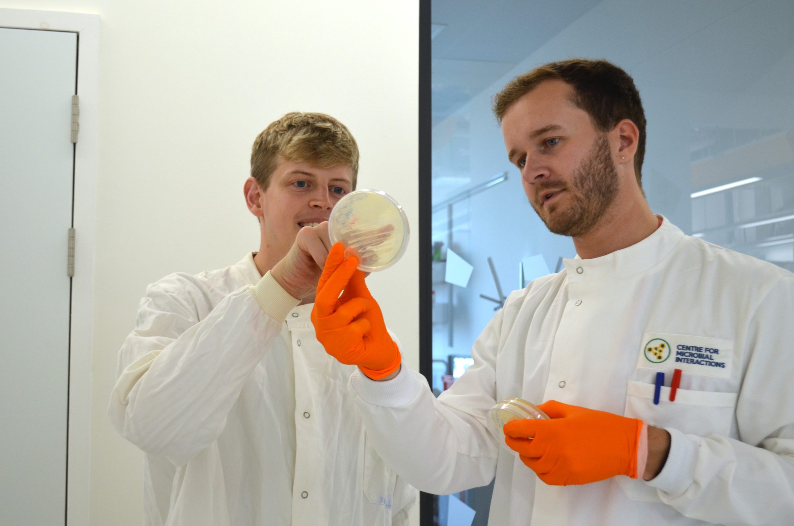 Cutting edge research: The Centre for Microbial Interactions - Work in ...